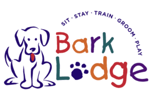 Bark Lodge | Sit Stay Train Groom Play